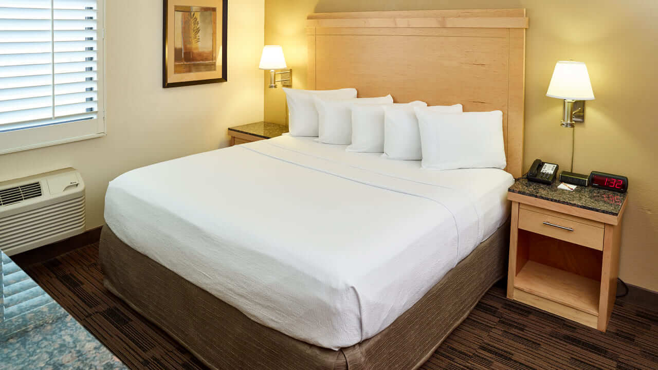 Your Comfortable Retreat in St. Paul | LivINN Hotel St. Paul